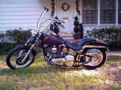 1995 Harley-Davidson® FXSTC Softail® Custom for Sale in Winnfield, LA ...