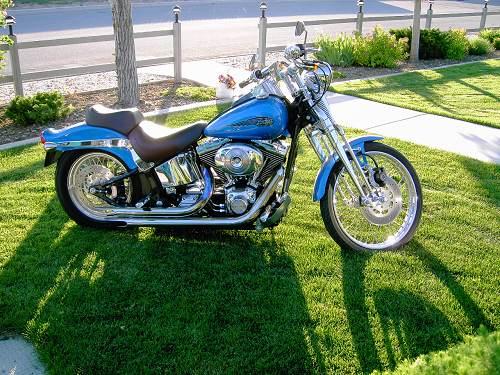 2002 Harley-Davidson® FXSTS/I Springer® Softail® for Sale in Sparks, NV ...