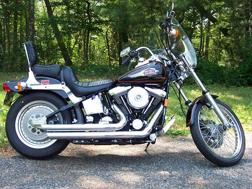 1995 Harley-Davidson® FXSTC Softail® Custom for Sale in Port Jefferson ...