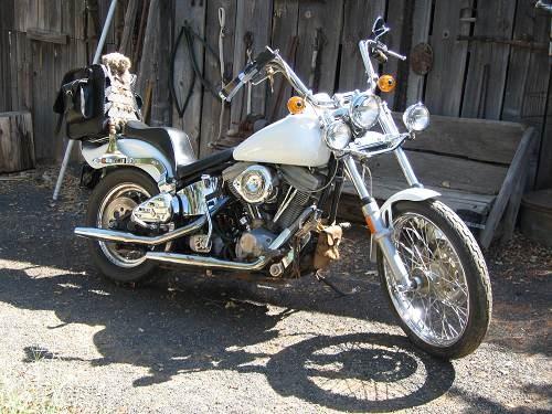 1984 Harley-Davidson® FXST Softail® for Sale in Moccasin, CA (Item 32135)