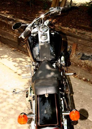 1998 Harley-Davidson® FXSTC Softail® Custom for Sale in Columbus, GA (Item 158707)