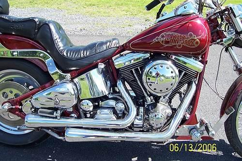 1987 Harley-Davidson® FXSTC Softail® Custom for Sale in Gardiner, NY ...