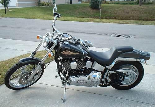 1998 Harley-Davidson® FXSTC Softail® Custom for Sale in Largo, FL (Item ...