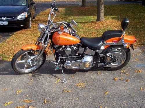 1993 Harley-Davidson® FXSTS Springer® Softail® for Sale in KINGSTON, PA ...