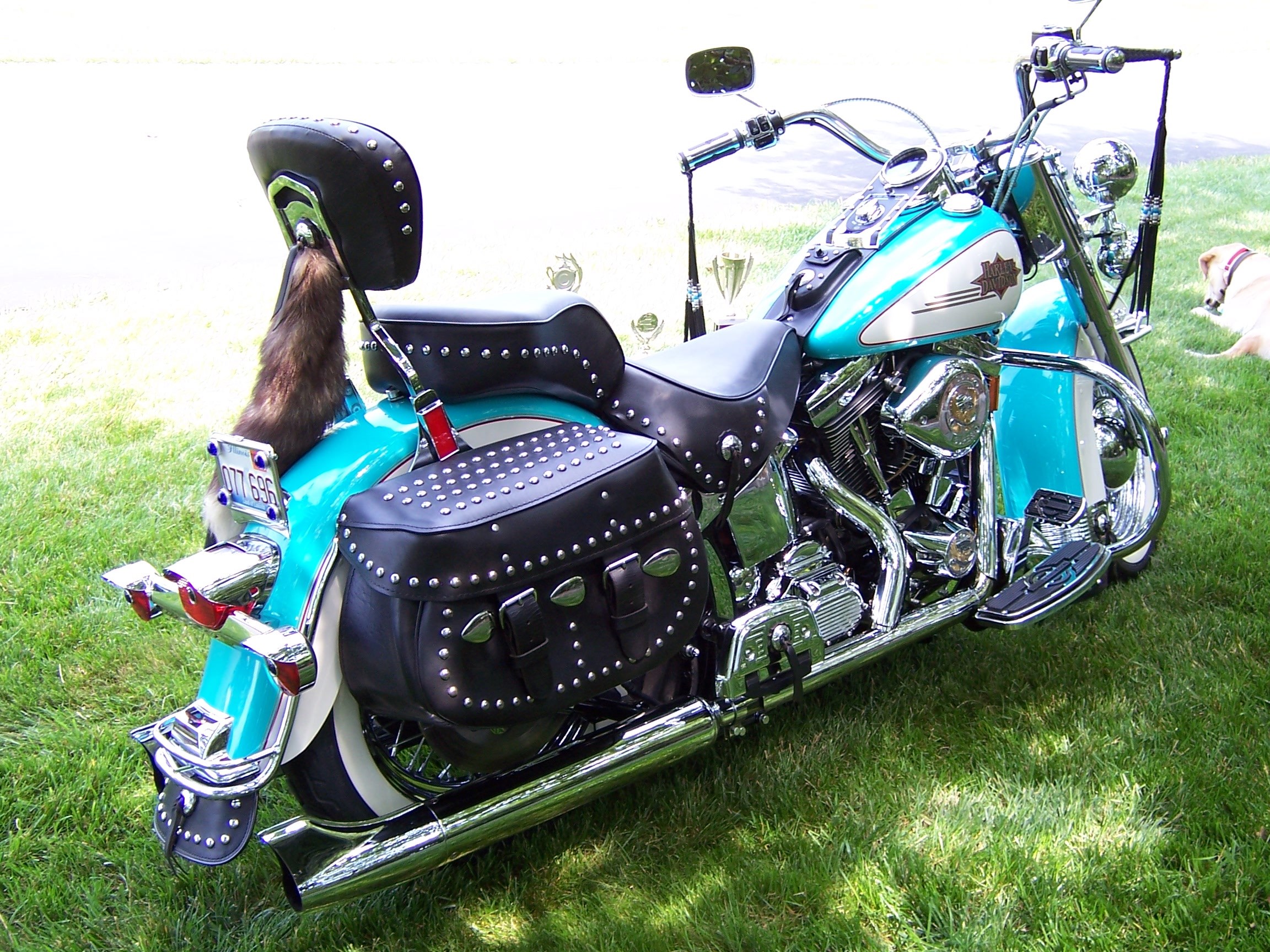 1997 Harley-Davidson® FLSTC Heritage Softail® Classic (Aqua Pearl Clear ...