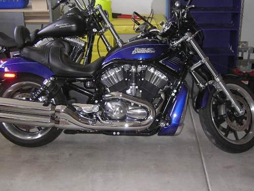 2006 Harley-Davidson® VRSCD V-Rod® Night Rod® for Sale in Temecula, CA ...