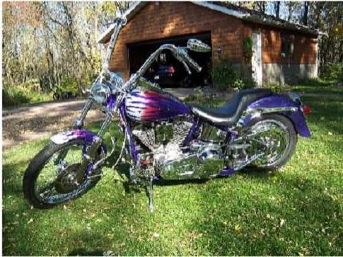 1987 Harley-Davidson® FXSTC Softail® Custom for Sale in Neillsville, WI ...