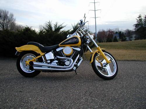 1995 Harley-Davidson® FXSTC Softail® Custom for Sale in Minnetrista, MN ...