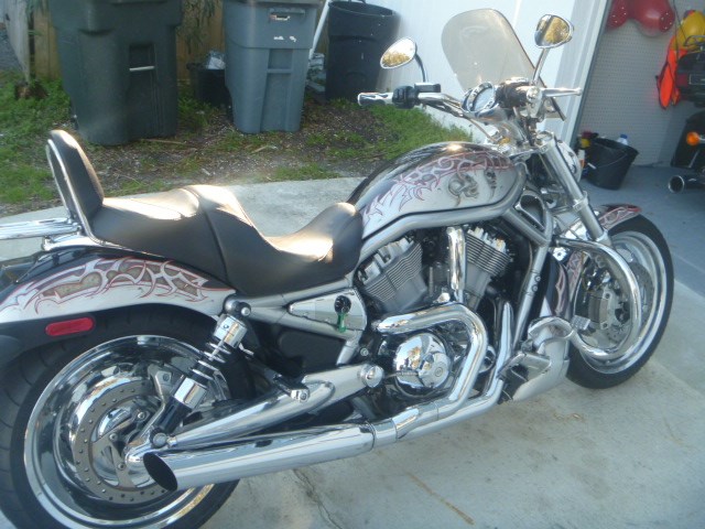 2006 Harley-Davidson® VRSCA V-Rod® for Sale in St Augustine, FL (Item ...