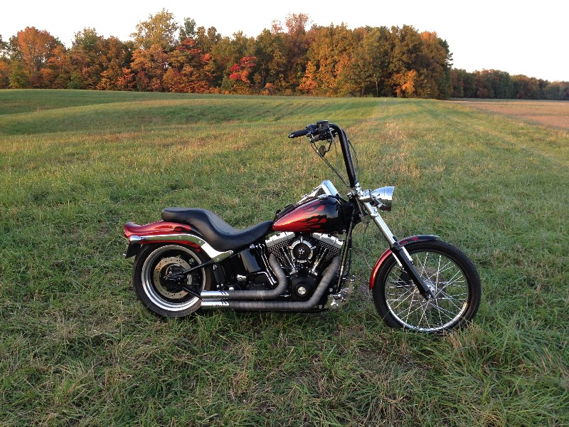2006 Harley-Davidson® FXSTC Softail® Custom for Sale in Greensburg, IN ...