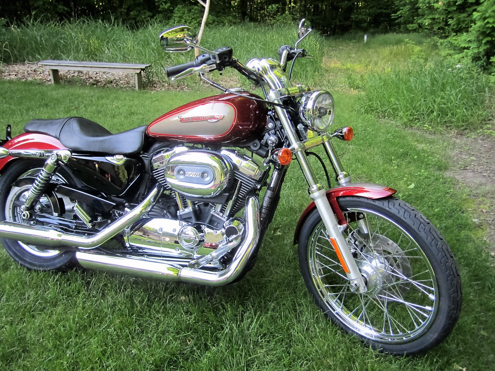 2009 Harley-Davidson® XL1200C Sportster® 1200 Custom for Sale in ...