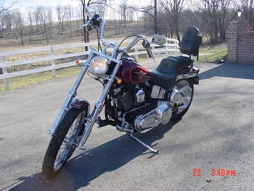 1998 Harley-Davidson® FXSTC Softail® Custom for Sale in Thompsons ...