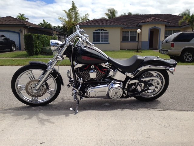 2008 Harley-Davidson® FXSTC Softail® Custom for Sale in miami, FL (Item ...