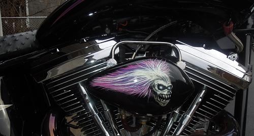 1994 Harley-Davidson® FXSTS Springer® Softail® for Sale in Palisades ...