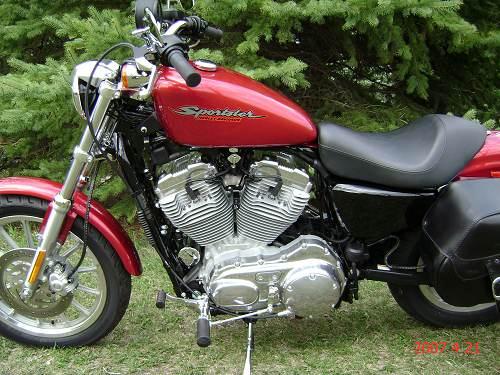 2004 Harley-Davidson® XLH-883 Sportster® 883 for Sale in Dassel, MN ...