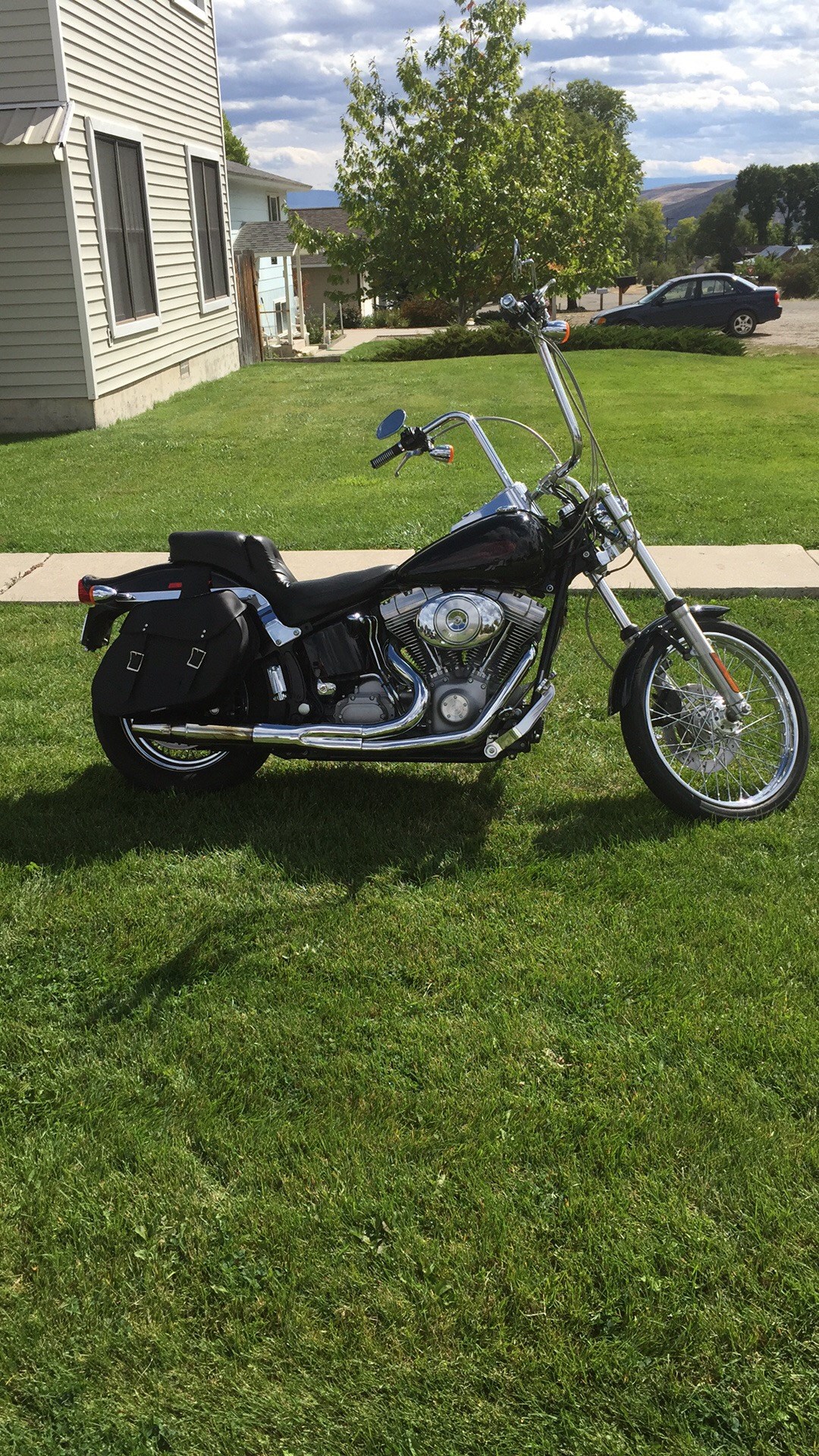 2005 Harley-Davidson® FXST/I Softail® Standard for Sale in Salmon, ID ...