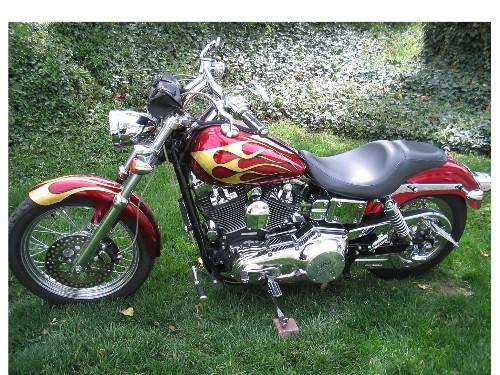 2001 Harley-Davidson® FXDL Dyna Low Rider® for Sale in South Bend, IN ...