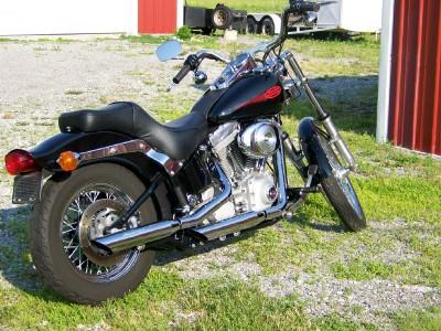 2001 Harley-Davidson® FXST/I Softail® Standard for Sale in LEIPSIC, OH ...