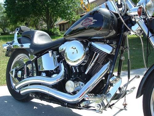 1998 Harley-Davidson® FXSTC Softail® Custom for Sale in Bradenton, FL ...