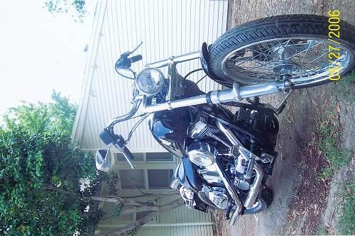 1988 Harley-Davidson® FXSTC Softail® Custom for Sale in Yuba City, CA ...
