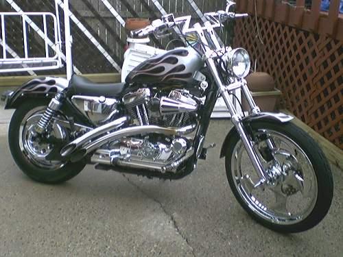 2000 Harley-Davidson® XL1200C Sportster® 1200 Custom for Sale in staten ...