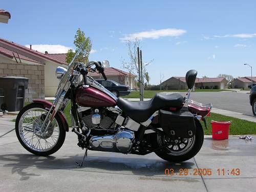 2002 Harley-Davidson® FXSTS/I Springer® Softail® for Sale in Edwards ...