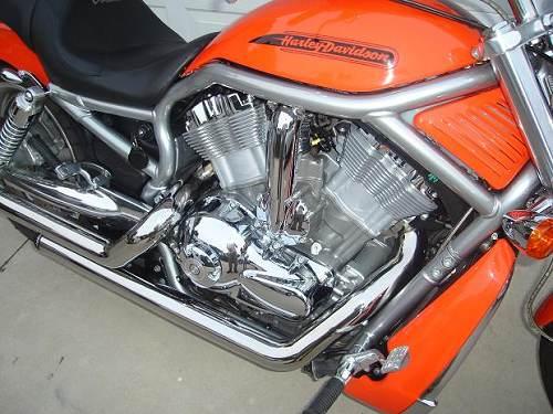 2006 Harley-Davidson® VRSCA V-Rod® for Sale in Sorrento, FL (Item 53724)