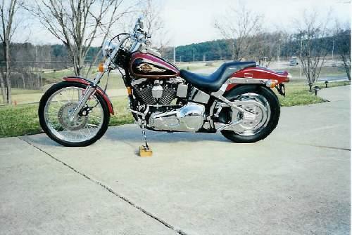 1998 Harley-Davidson® FXSTC Softail® Custom for Sale in Coolville, OH ...