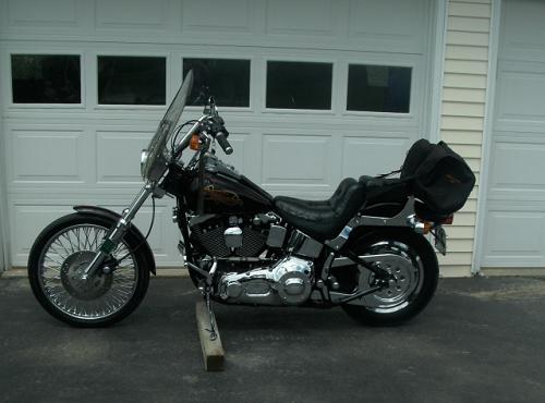 1999 Harley-Davidson® FXSTC Softail® Custom for Sale in Towanda, PA ...