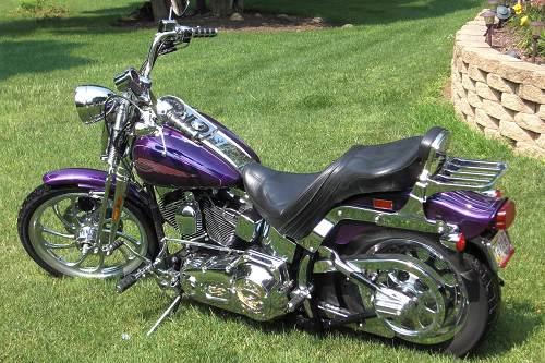 2001 Harley-Davidson® FXST/I Softail® Standard for Sale in DANVILLE, IN ...