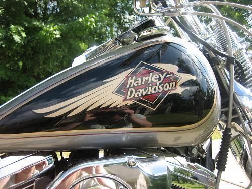 1996 Harley-Davidson® FXSTS Springer® Softail® for Sale in CONROE, TX ...