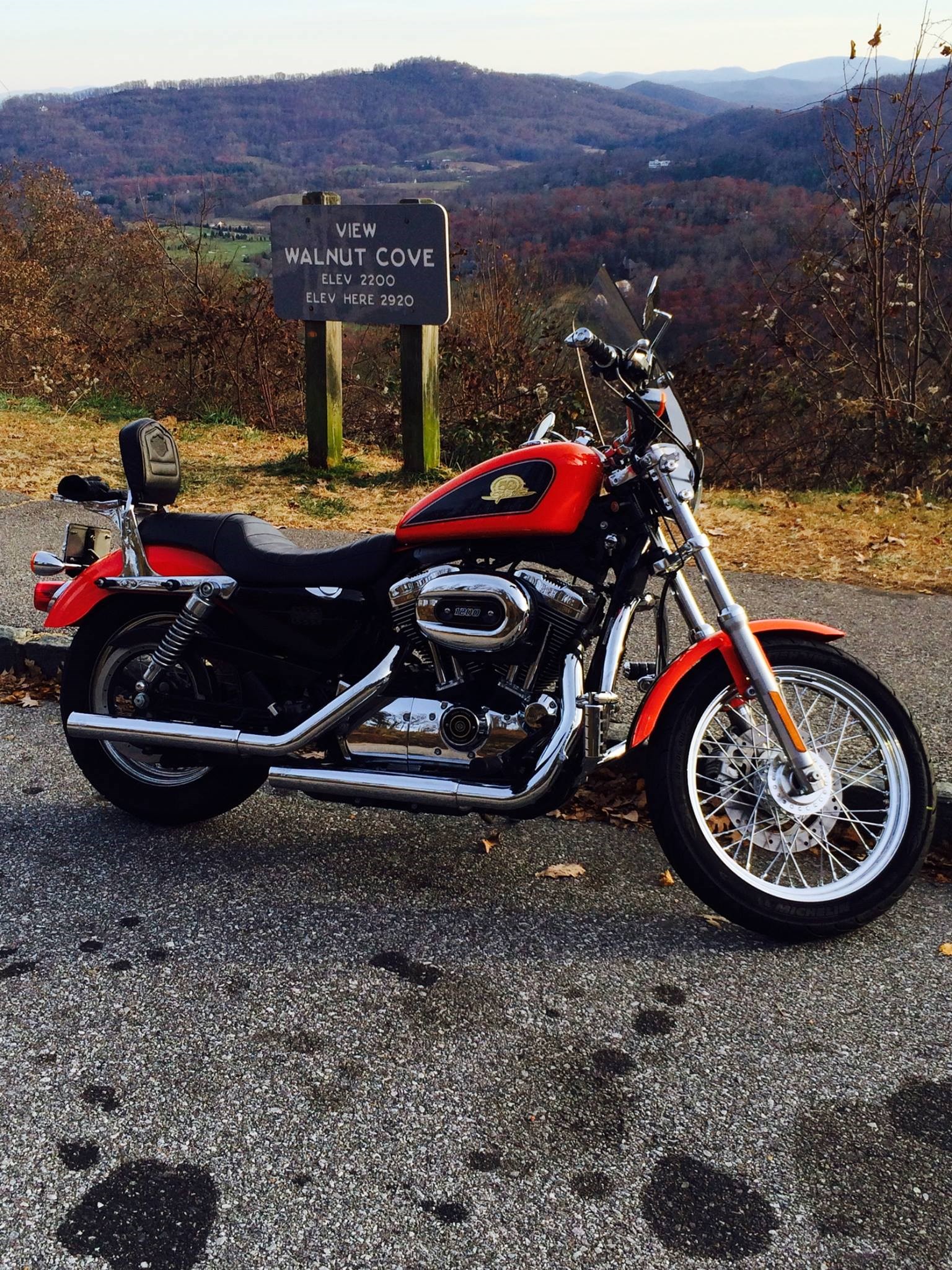 2007 Harley-Davidson® XL50 Sportster® 1200 50th Anniversary for Sale in ...