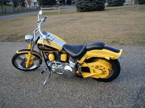 1995 Harley-Davidson® FXSTC Softail® Custom for Sale in Minnetrista, MN ...