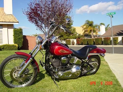 1995 Harley-Davidson® FXSTC Softail® Custom for Sale in Murrieta, CA ...
