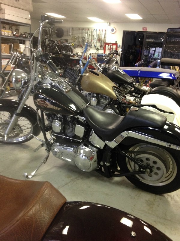 1999 Harley-Davidson® FXST Softail® Standard for Sale in Fullerton, CA ...
