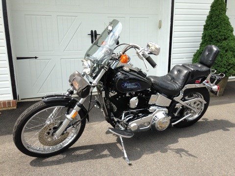 1987 Harley-Davidson® FXSTC Softail® Custom for Sale in Queenstown, MD ...