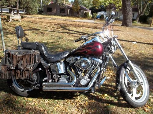 1987 Harley-Davidson® FXSTC Softail® Custom for Sale in McHenry, IL ...