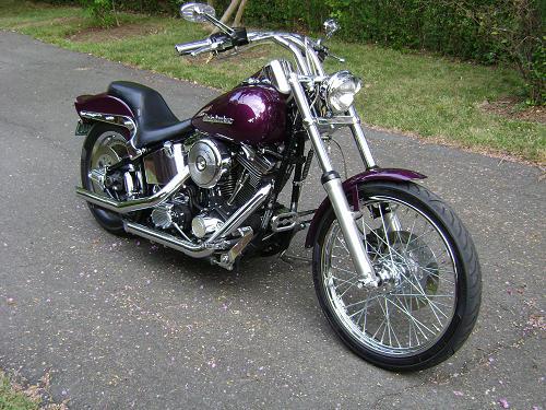 1998 Harley-Davidson® FXSTC Softail® Custom for Sale in Winston - Salem ...