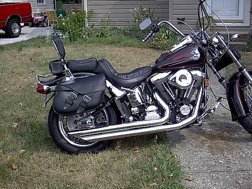 1994 Harley-Davidson® FXSTC Softail® Custom for Sale in hamilton, OH ...