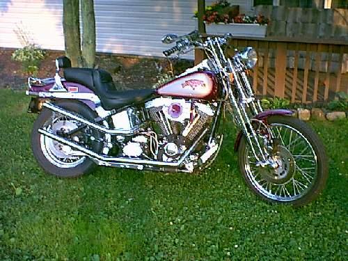 1994 Harley-Davidson® FXSTS Springer® Softail® for Sale in Keyser, WV ...