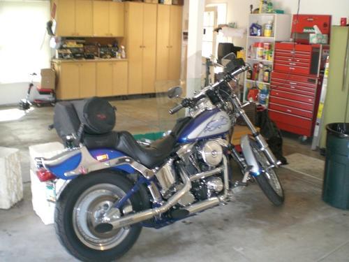 1989 Harley-Davidson® FXSTC Softail® Custom for Sale in Denver, CO ...