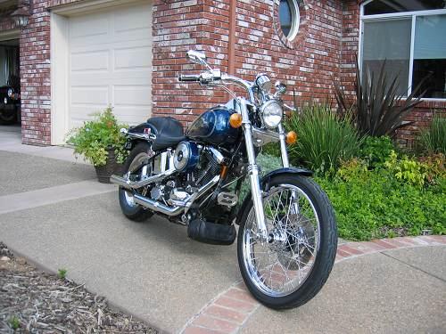 1998 Harley-Davidson® FXSTC Softail® Custom for Sale in Fairfield, CA ...