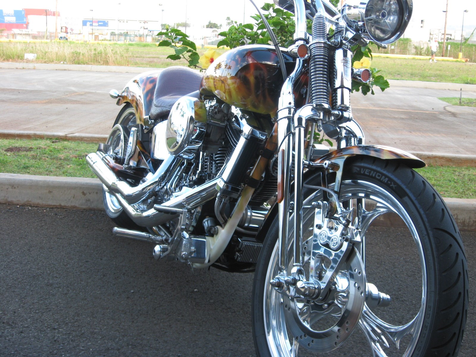 2000 Harley-Davidson® FXSTS Softail® Springer® for Sale in Honolulu, HI ...