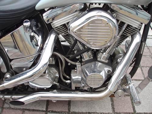 1992 Harley-Davidson® FXSTC Softail® Custom for Sale in Okeechobee, FL ...