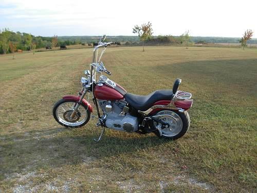 2006 Harley-Davidson® FXST/I Softail® Standard for Sale in Rio Rancho ...