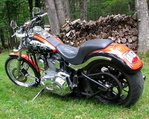 2004 Harley-Davidson® FXST/I Softail® Standard for Sale in Rhinelander ...