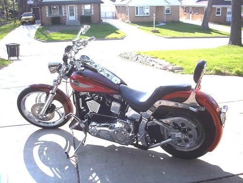 1998 Harley-Davidson® FXSTC Softail® Custom for Sale in Wauwatosa, WI ...