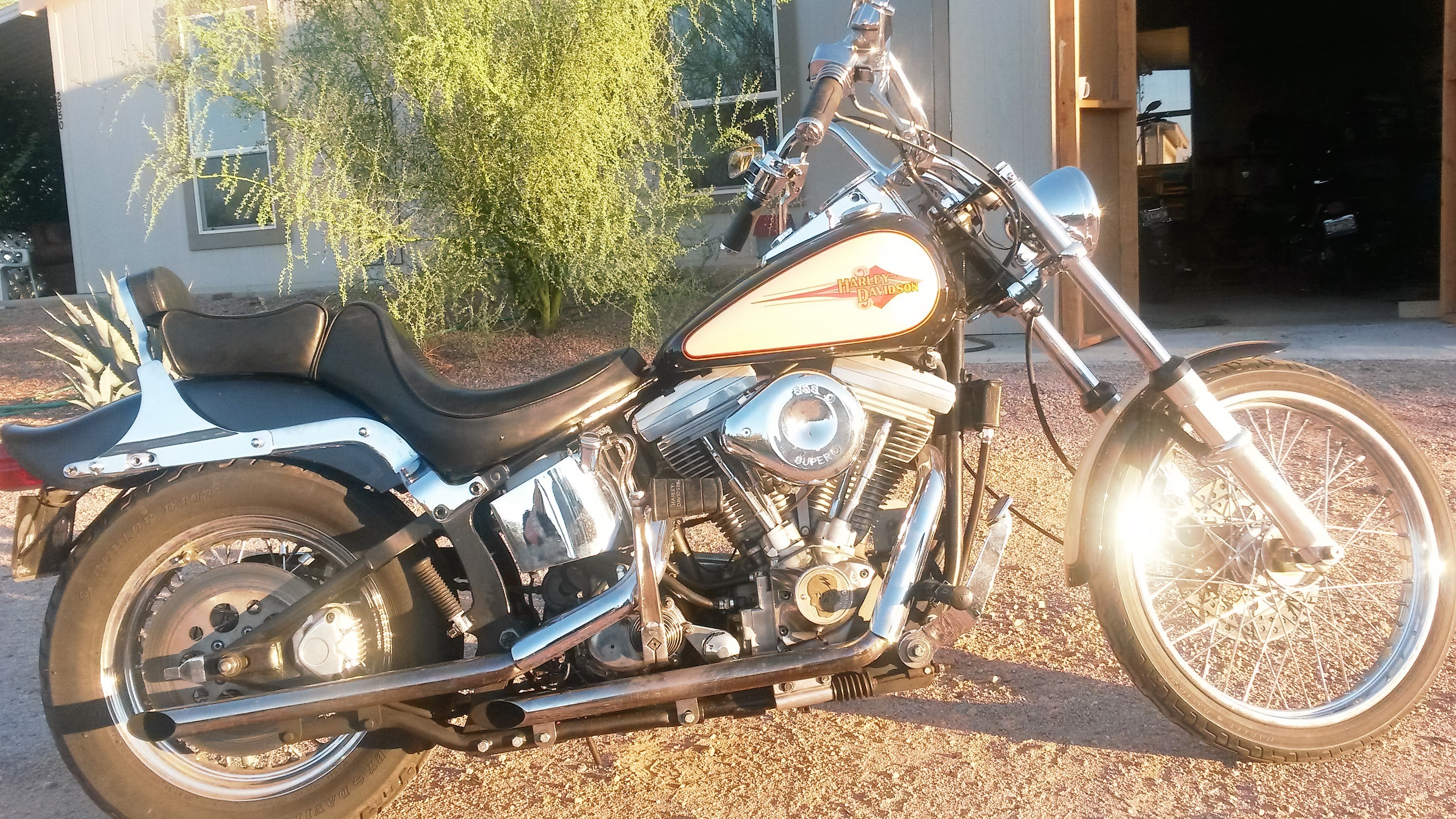 1984 Harley-Davidson® FXST Softail® for Sale in apache junction, AZ ...