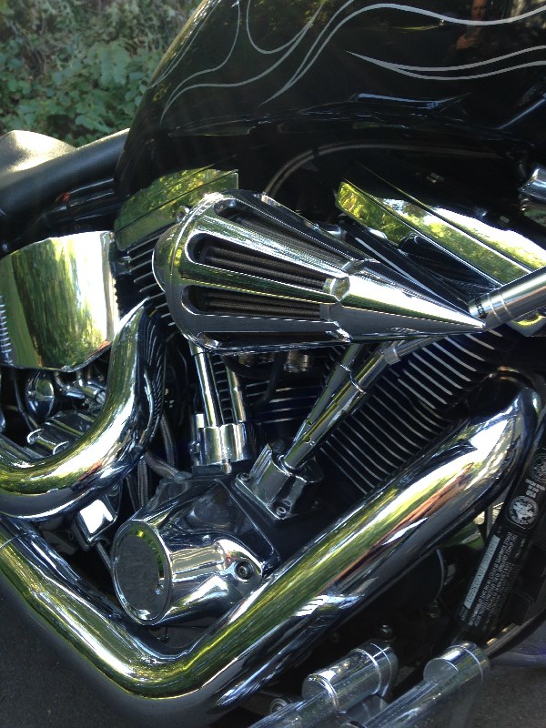 1999 Harley-Davidson® FXSTC Softail® Custom for Sale in Cromwell, CT ...