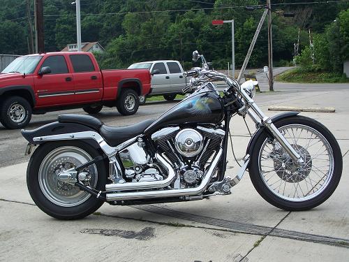 1996 Harley-Davidson® FXSTC Softail® Custom for Sale in kenna, WV (Item ...
